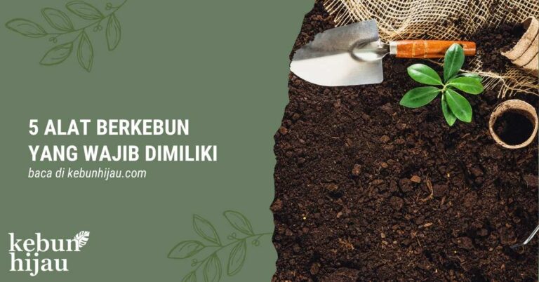 5 Alat Berkebun yang Wajib Dimiliki – KebunHijau.com